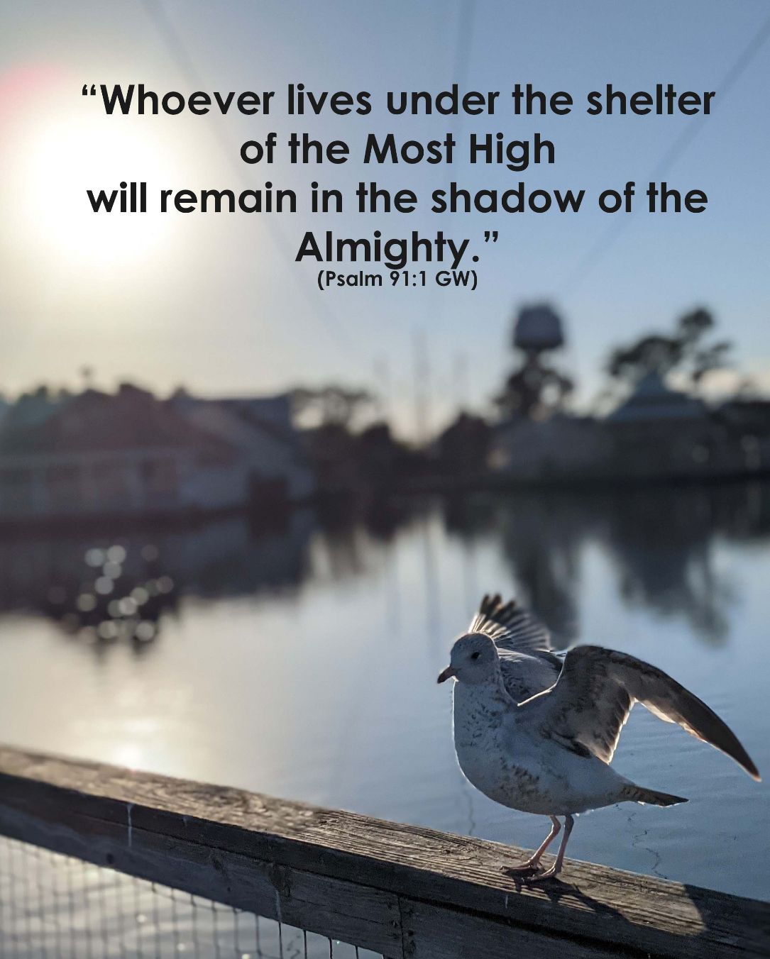 What Will Make You Under God’s Shelter? – Honest Reflections