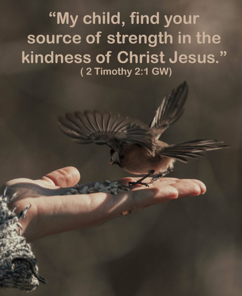 Jesus Will Make You Kind – Honest Reflections