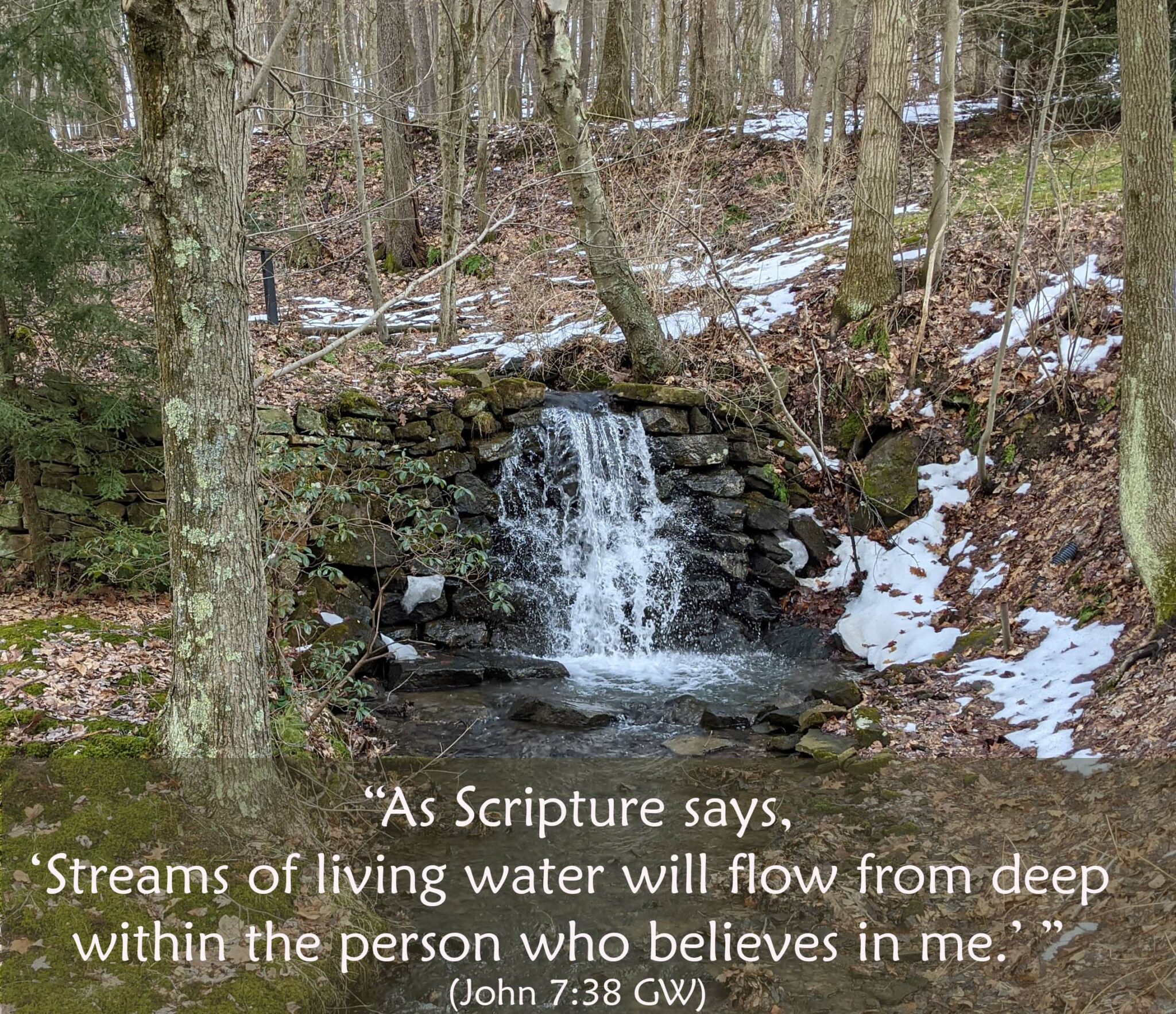 Belief Will Make You Streams of Living Water – Honest Reflections