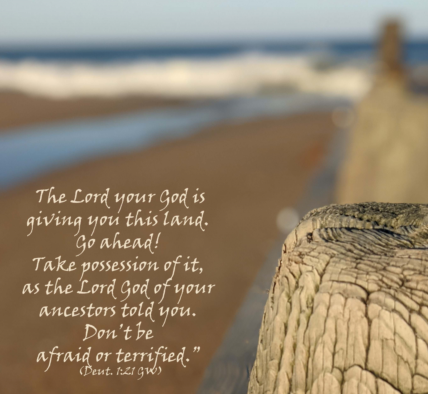 What Will Make You Take Possession of Your Promised Land? – Honest ...