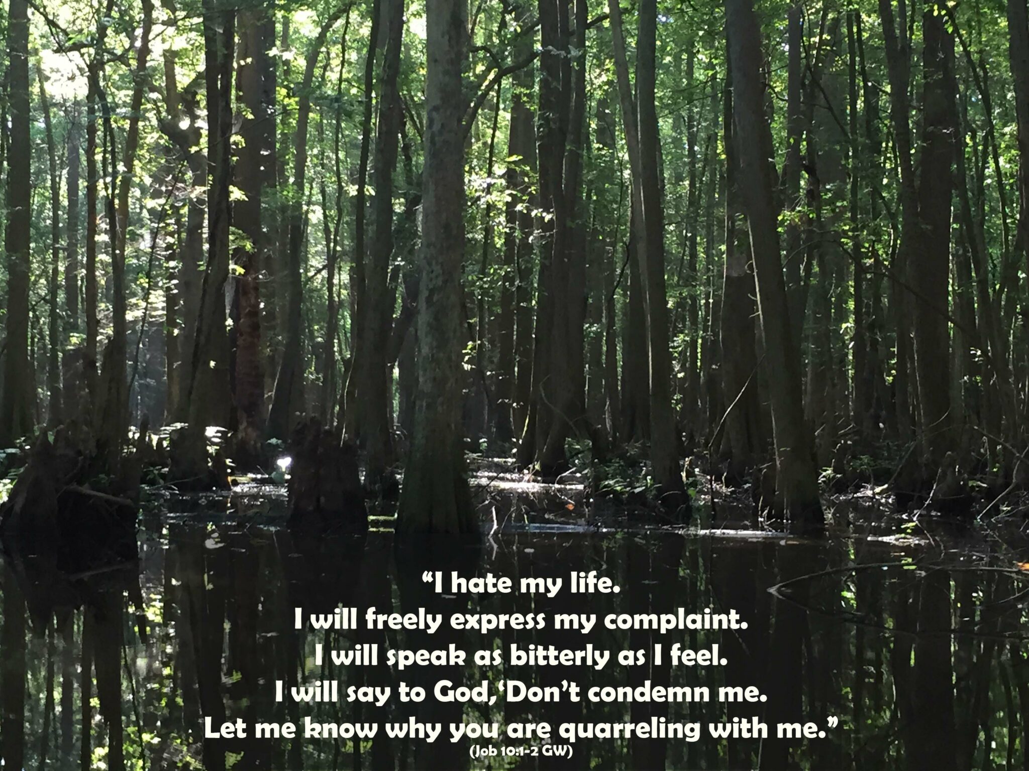 Why Honesty with God Will Make You Feel Better – Honest Reflections