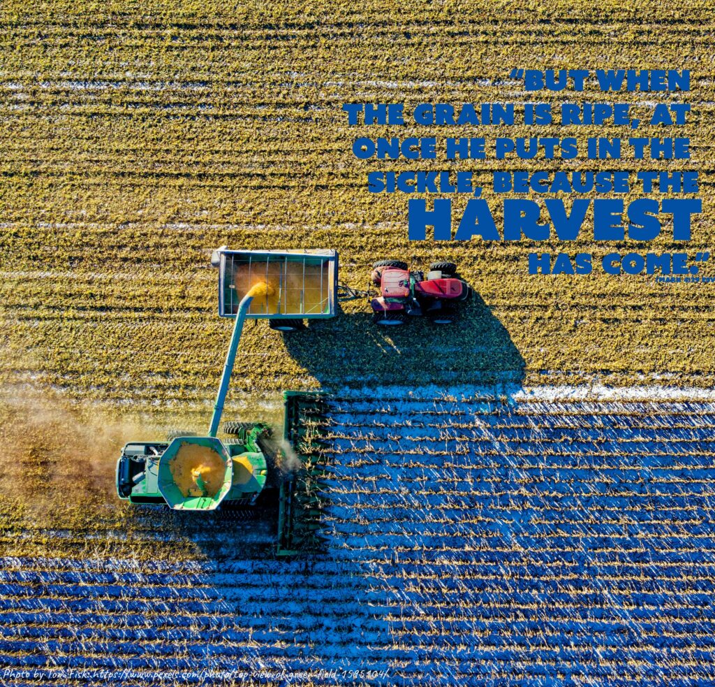 HARVEST – Honest Reflections