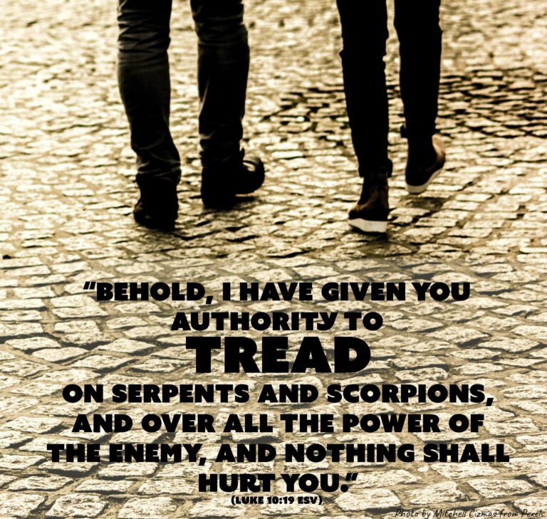 Honest Reflections – Beth Morrison