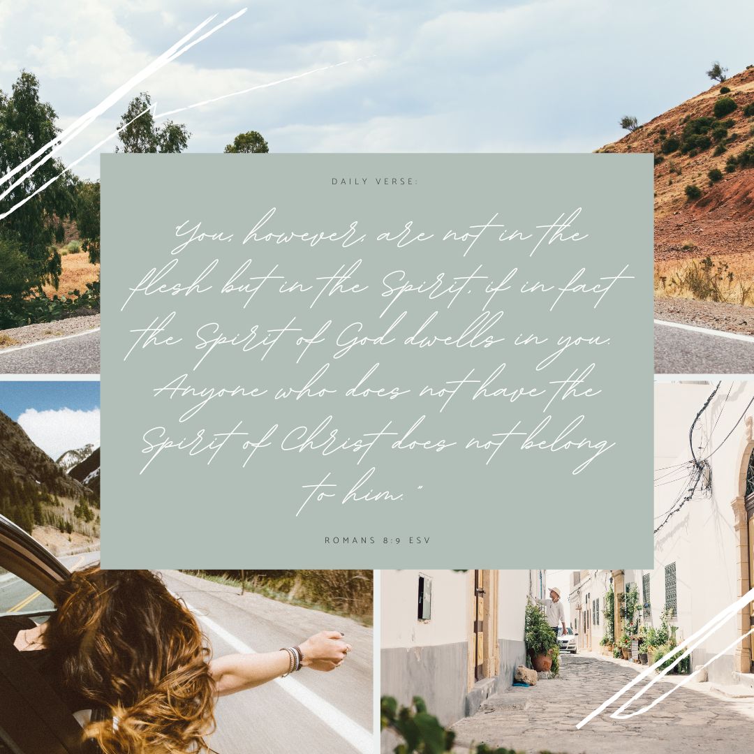 Honest Reflections – Beth Morrison