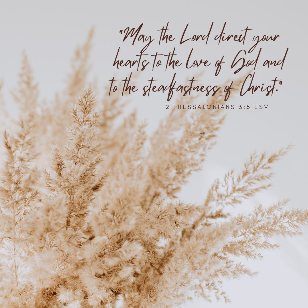 DIRECT – Honest Reflections