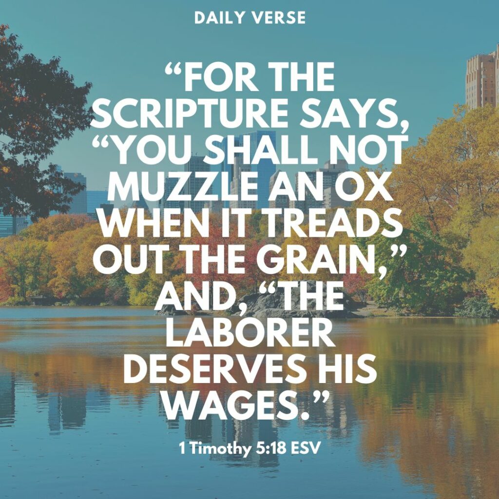 WAGES – Honest Reflections