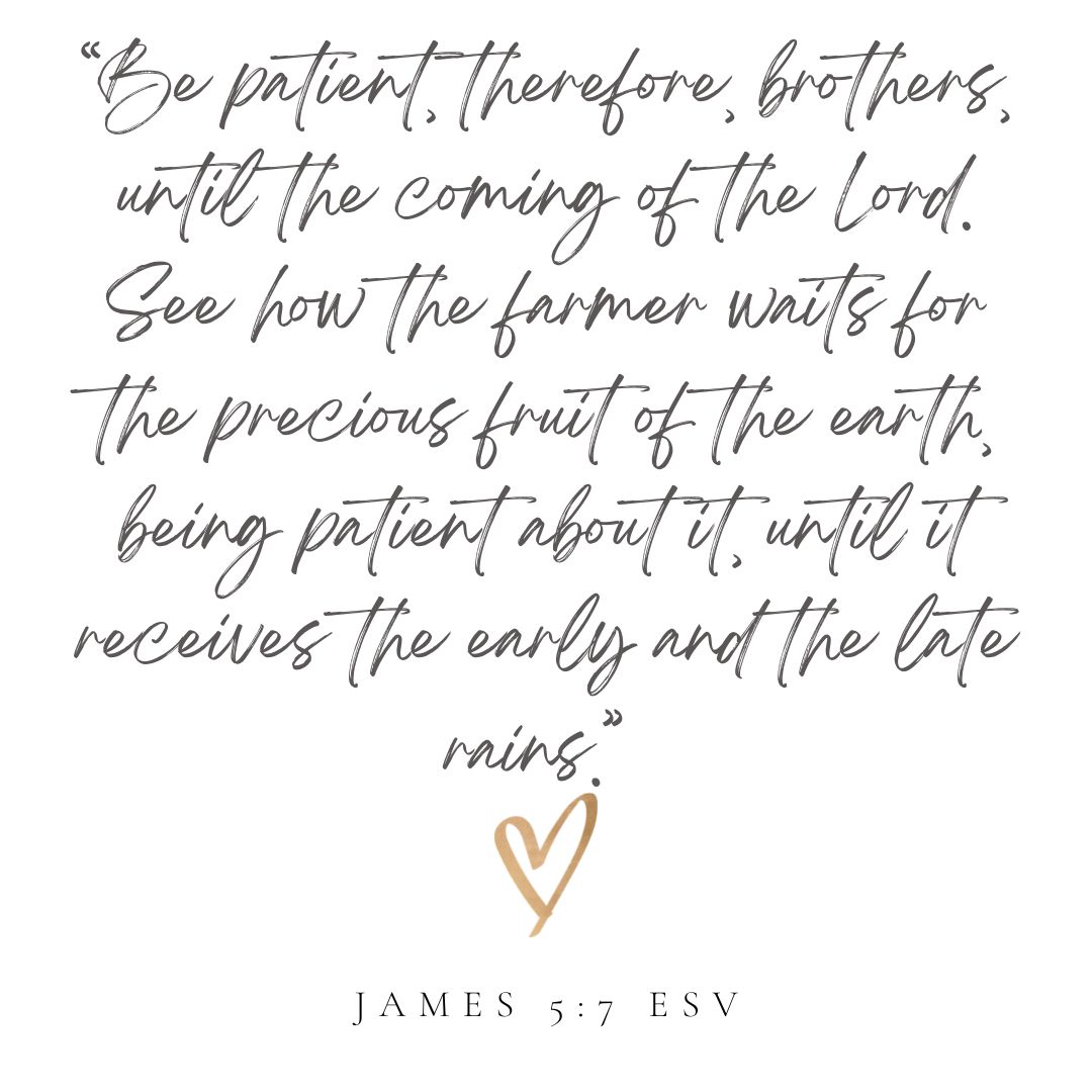 PATIENT – Honest Reflections