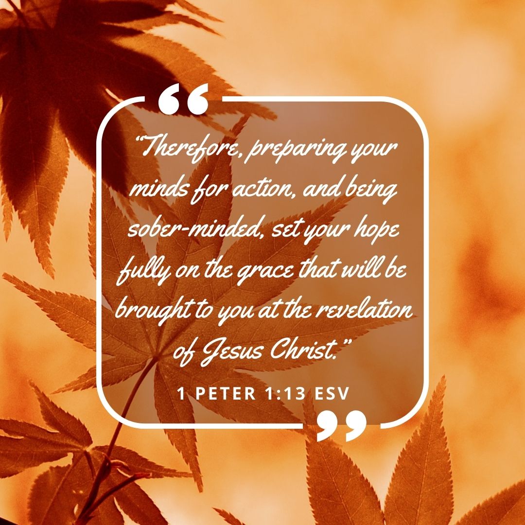 PREPARING – Honest Reflections