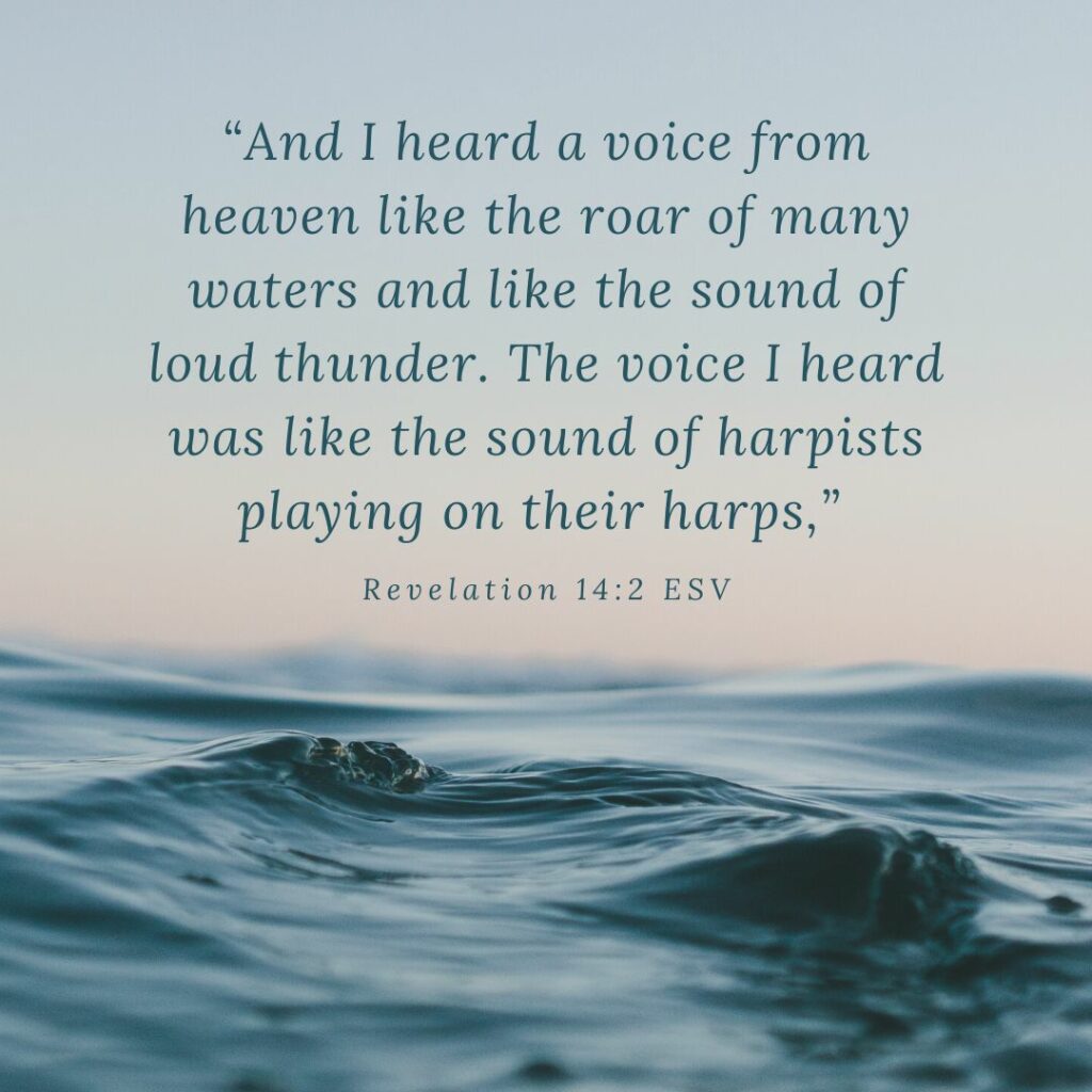 ROAR – Honest Reflections