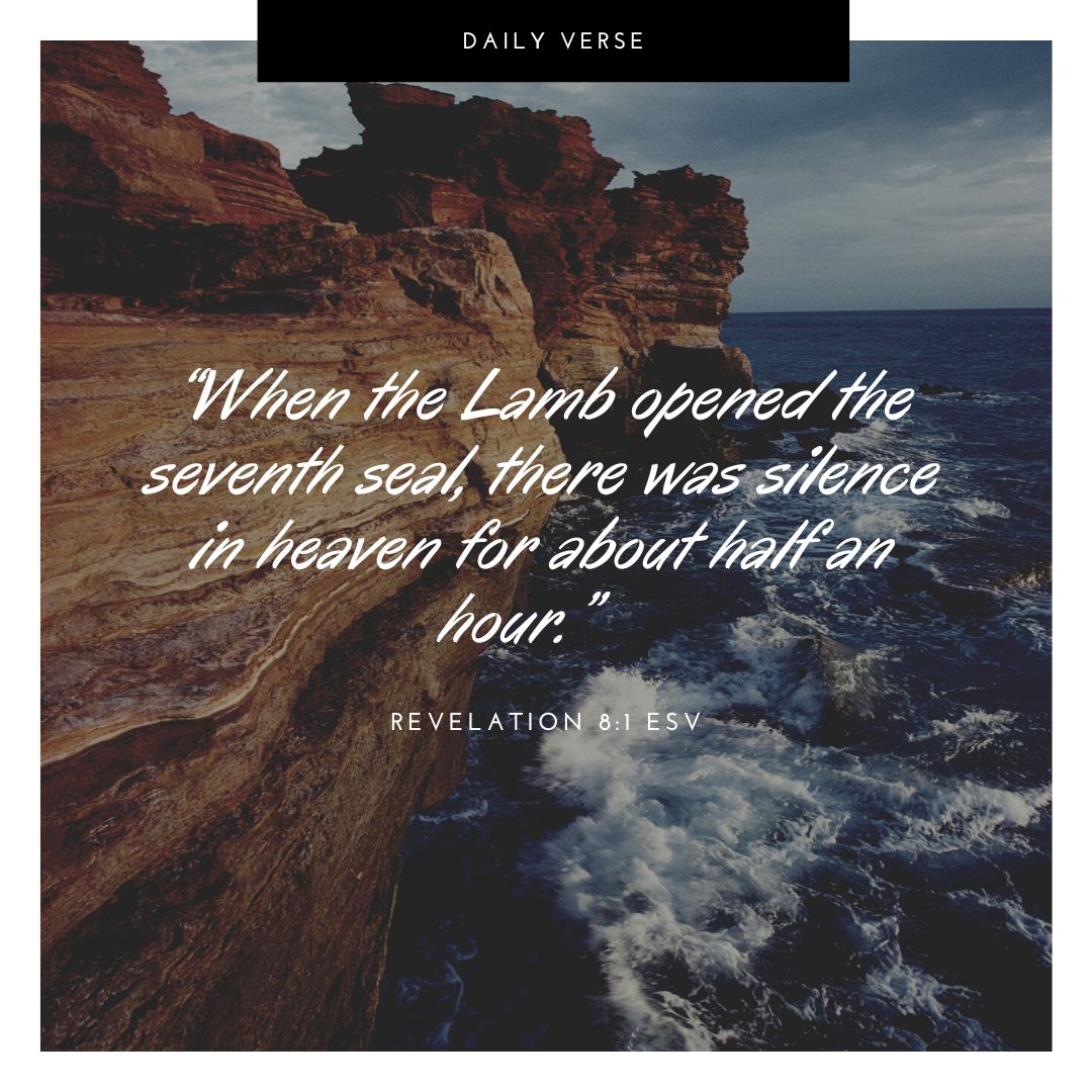 SEAL – Honest Reflections