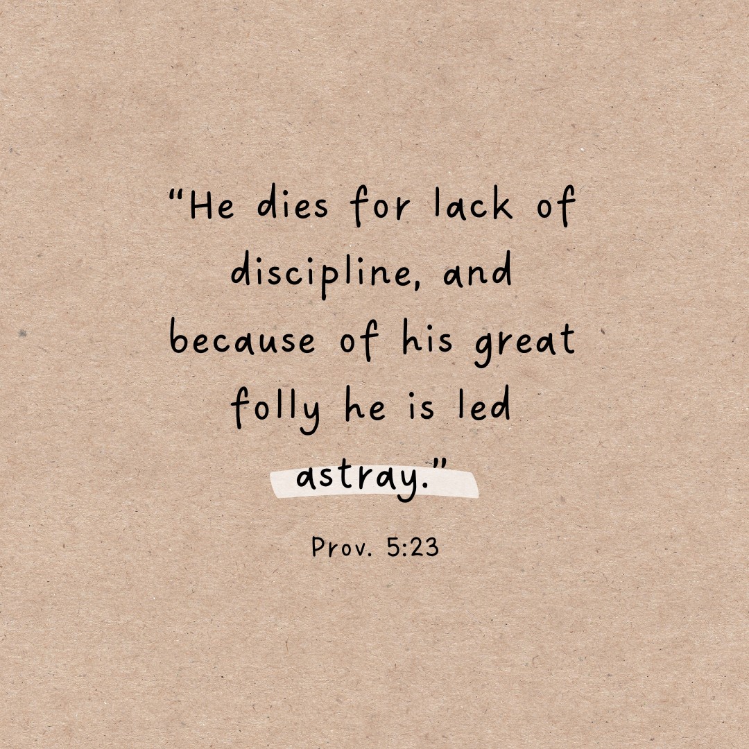 Lack of Discipline – Honest Reflections