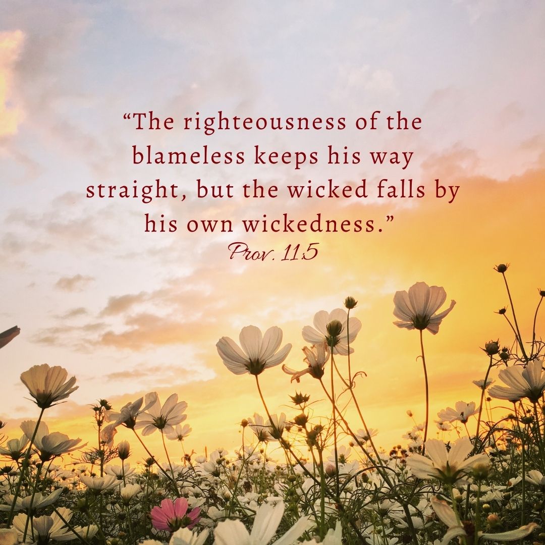 Righteous and Wicked – Honest Reflections