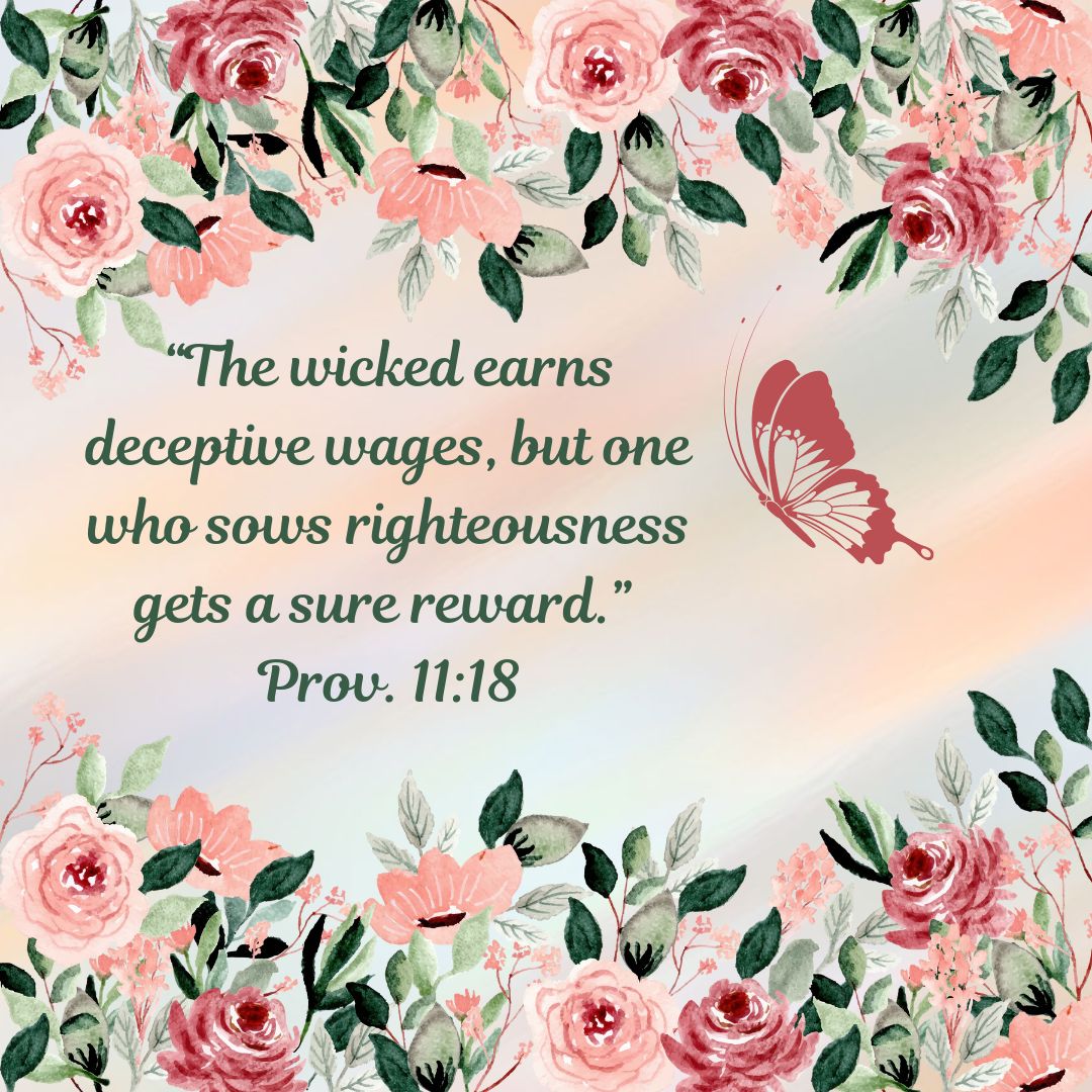 Sow Sure Rewards – Honest Reflections