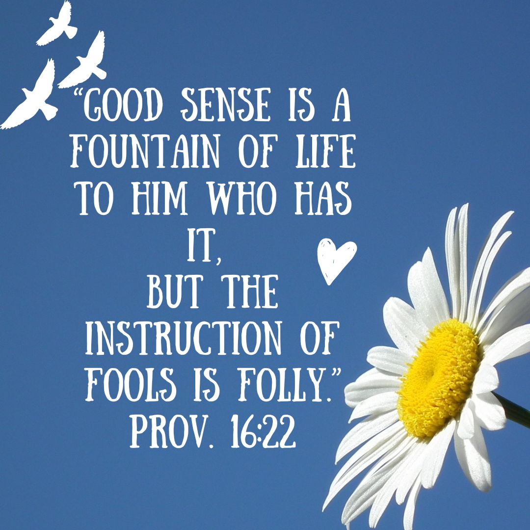 Common Sense Required – Honest Reflections