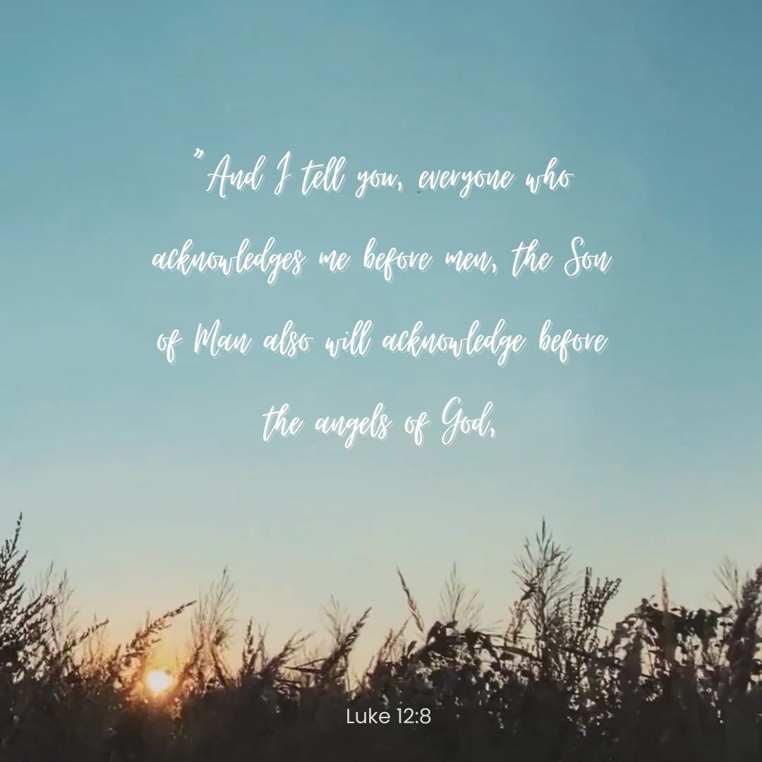 Honest Reflections – Beth Morrison