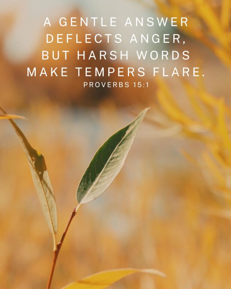 Gentle Answer – Honest Reflections