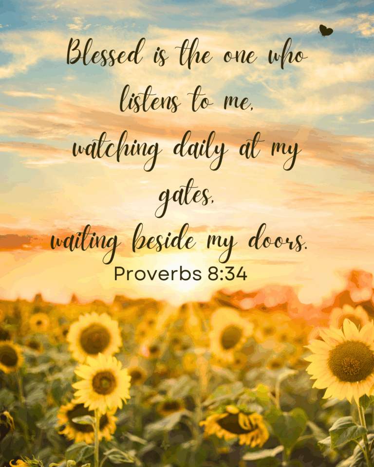 Watch Daily – Honest Reflections